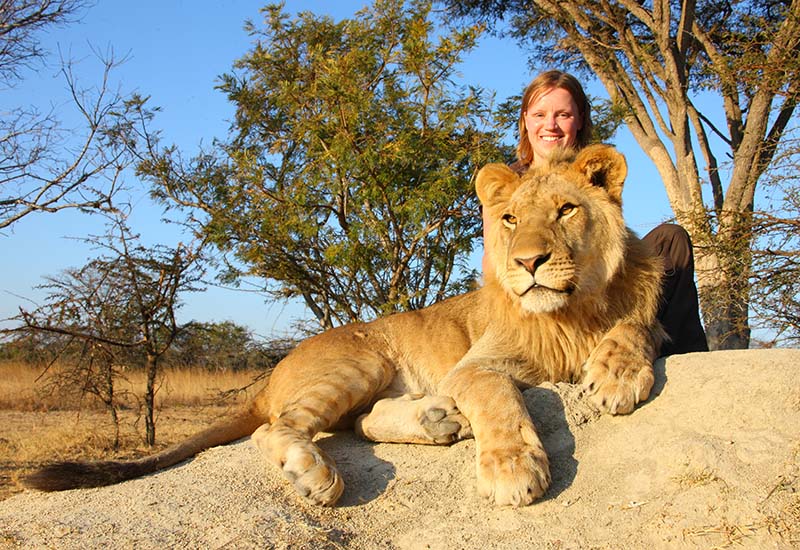 Lion walk – Victoria Falls Expeditions